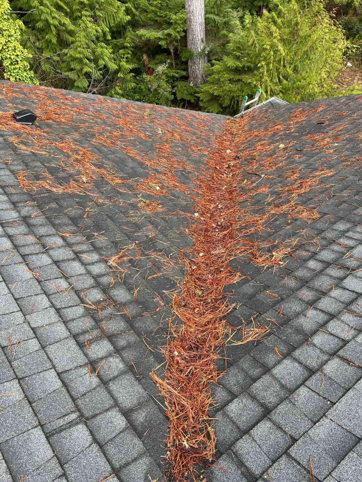 Washington Exterior Cleaning | Cornerstone Cleaning